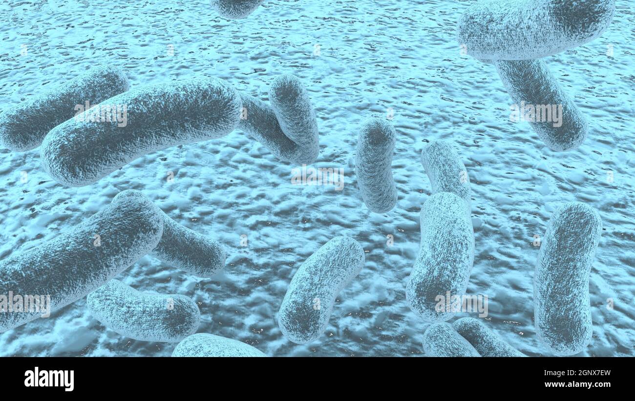 3D illustration of a bacteria. Closeup of a bacterial structure against ...