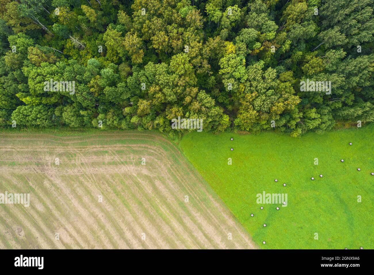 Aerial drone view shoot of abstract geometric shapes of green farm lawn ...
