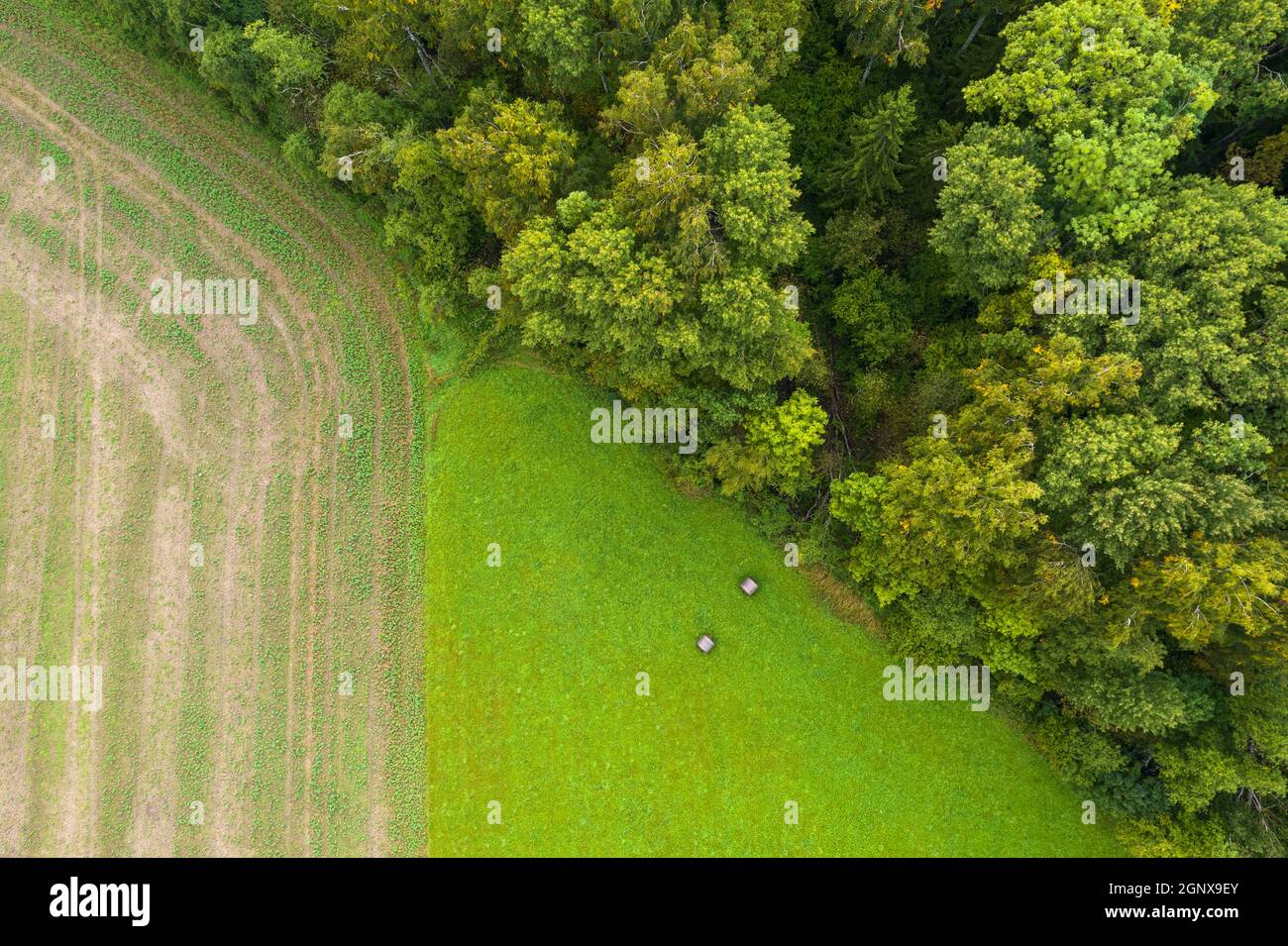 Aerial drone view shoot of abstract geometric shapes of green farm lawn ...