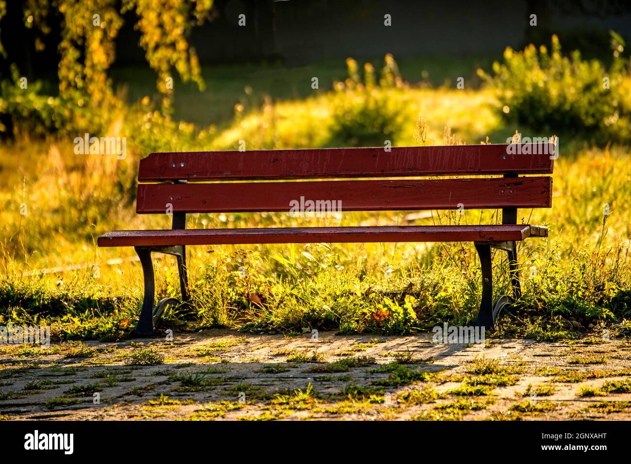 Park bench in the sun hi-res stock photography and images - Alamy