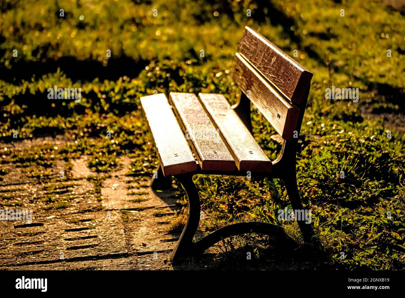 Park bench in the sun hi-res stock photography and images - Alamy