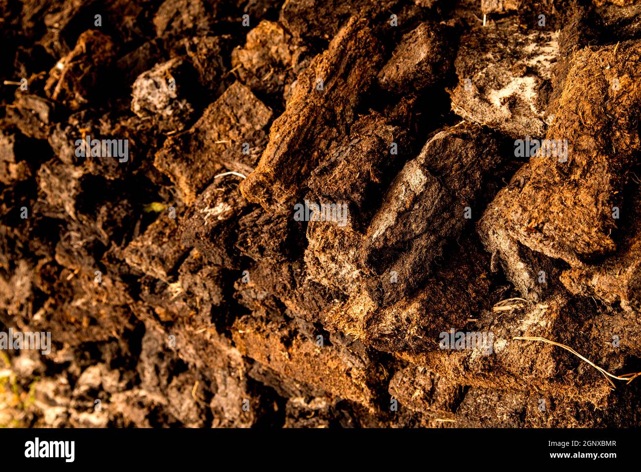 Peat pieces hi-res stock photography and images - Alamy