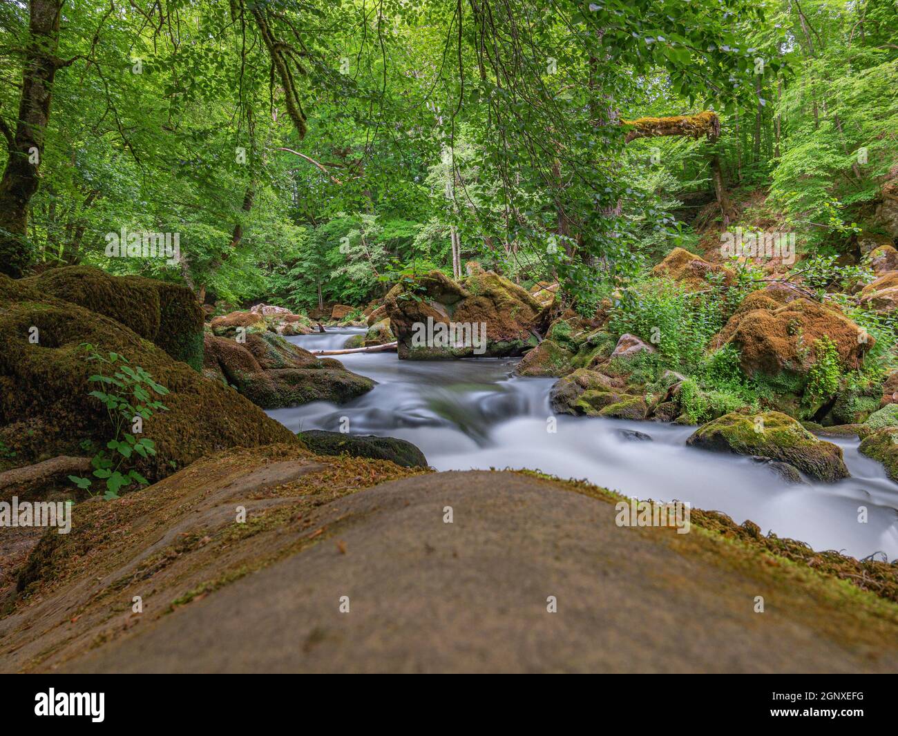 A small stream in a valley surrounded by rocks and green deciduous ...