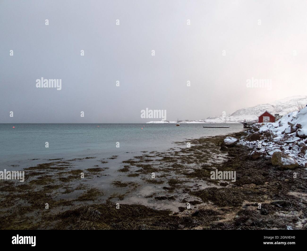 Landscape in wintertime in Sandneshamn on the island Kvaloya in Norway ...