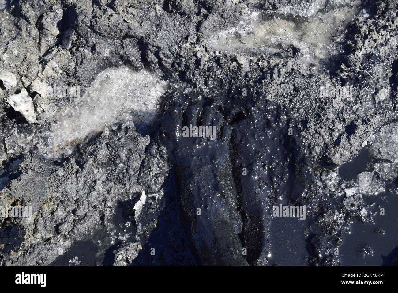 Human foot in the mud and salt lake brine. Therapeutic mud and salt ...