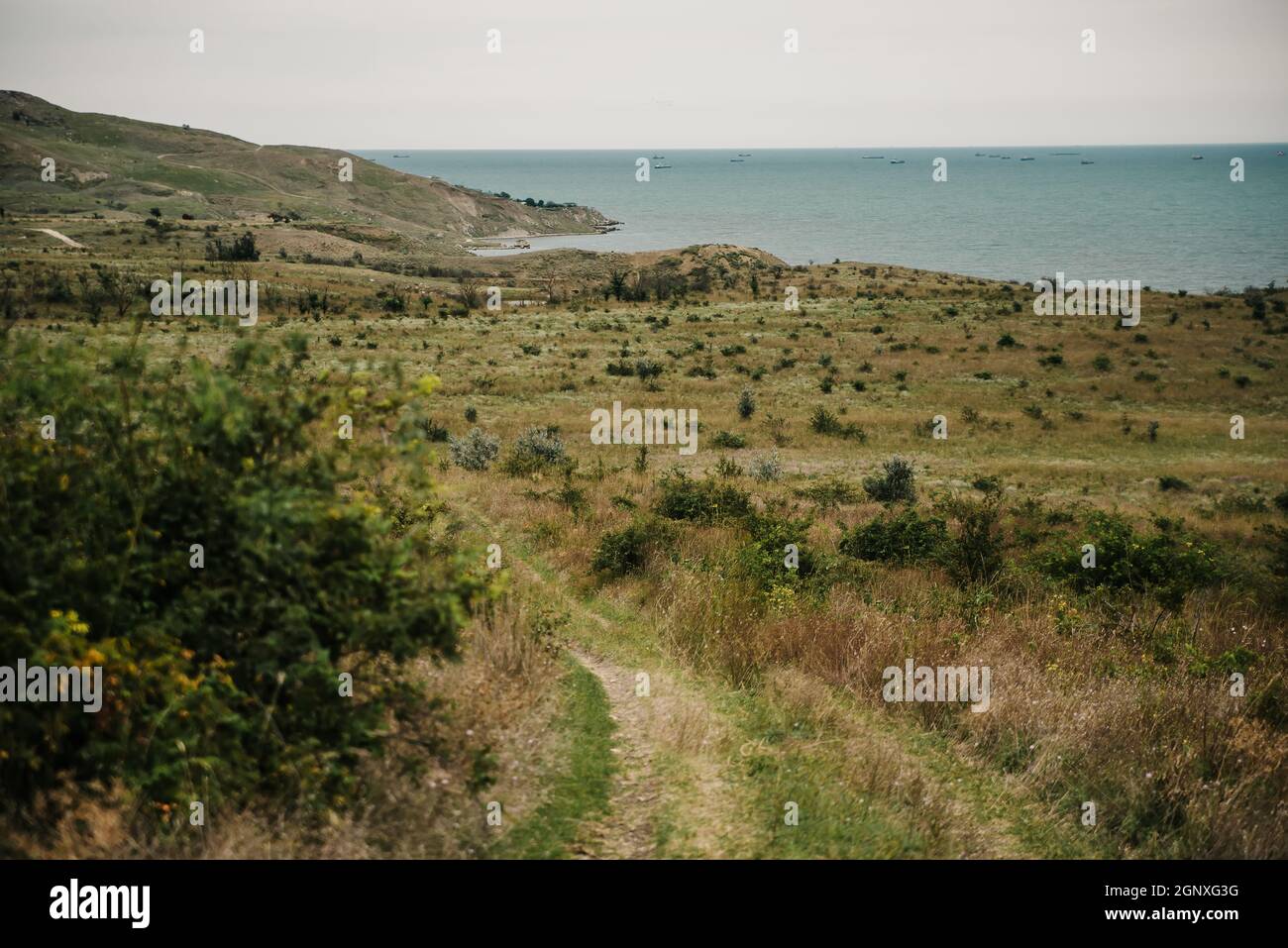 Woodless hi-res stock photography and images - Alamy