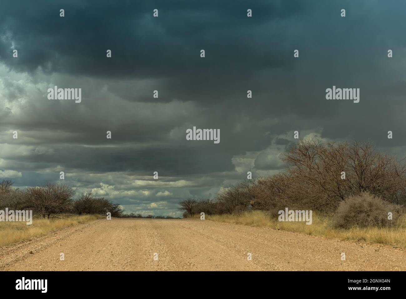 Landscape with rain clouds in the west of the capital Windhoek, Namibia ...