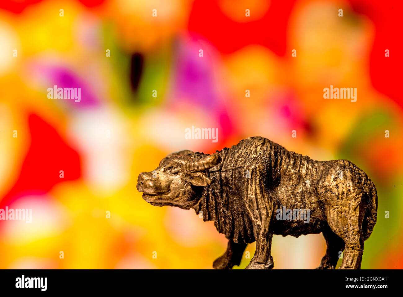Metal ox 2021 hi-res stock photography and images - Alamy