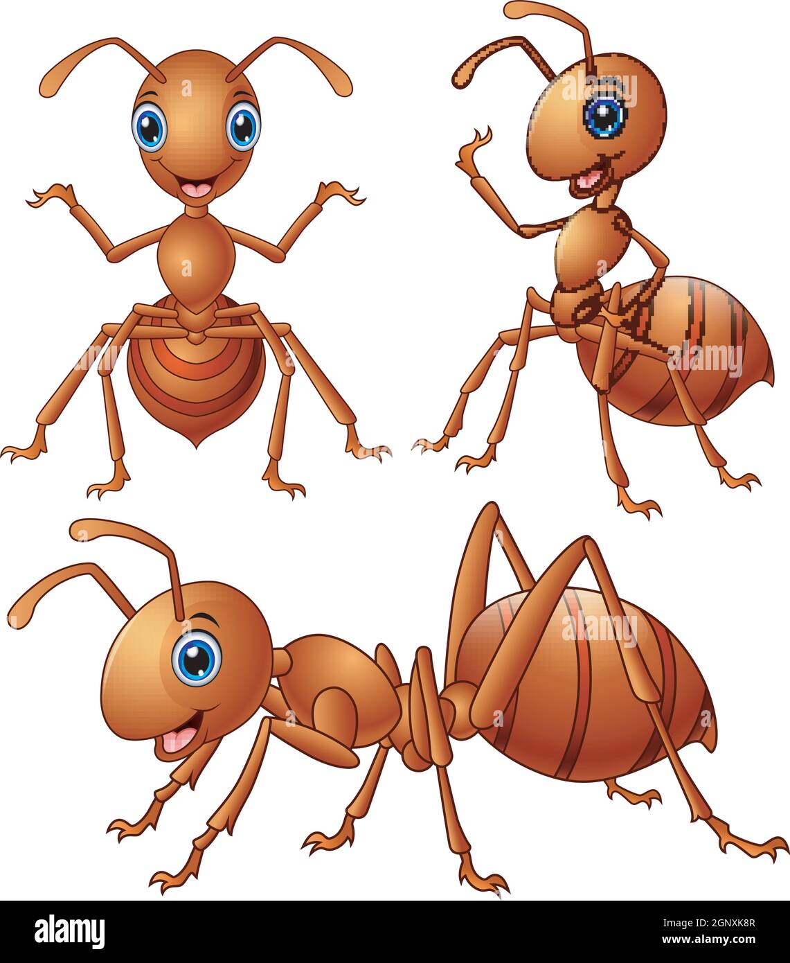 Ants ecosystem Stock Vector Images - Alamy