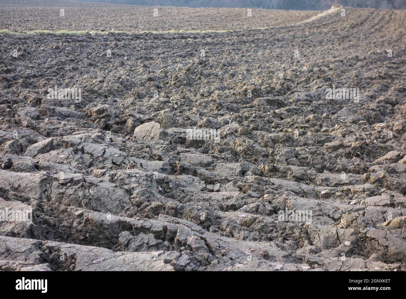 Usable arable land hi-res stock photography and images - Alamy