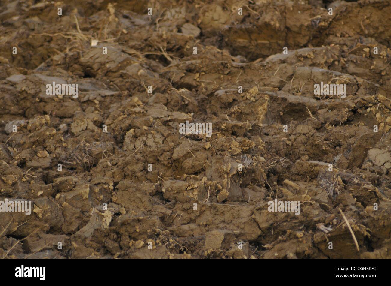 Usable arable land hi-res stock photography and images - Alamy