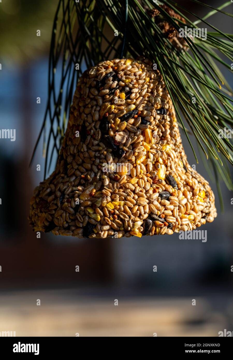 Bell from various grains, a delicacy for all the birds in the garden ...