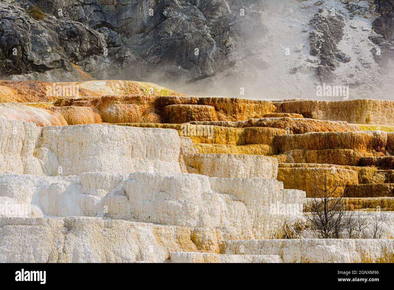 Sinter terraces near Mammoth near the Yellowstone bacteria pools in the ...