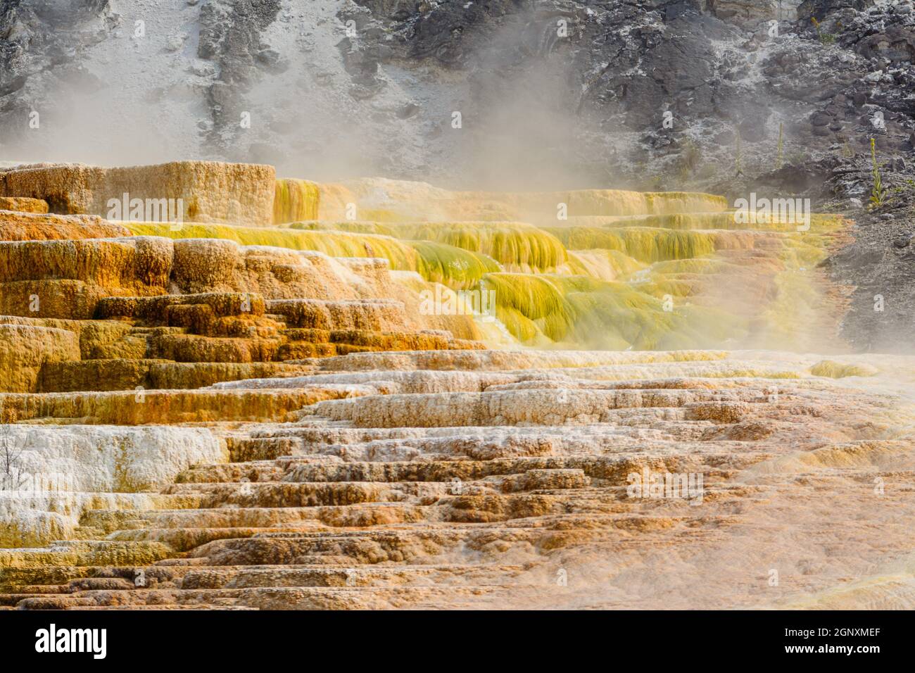 Sinter terraces near Mammoth near the Yellowstone bacteria pools in the ...