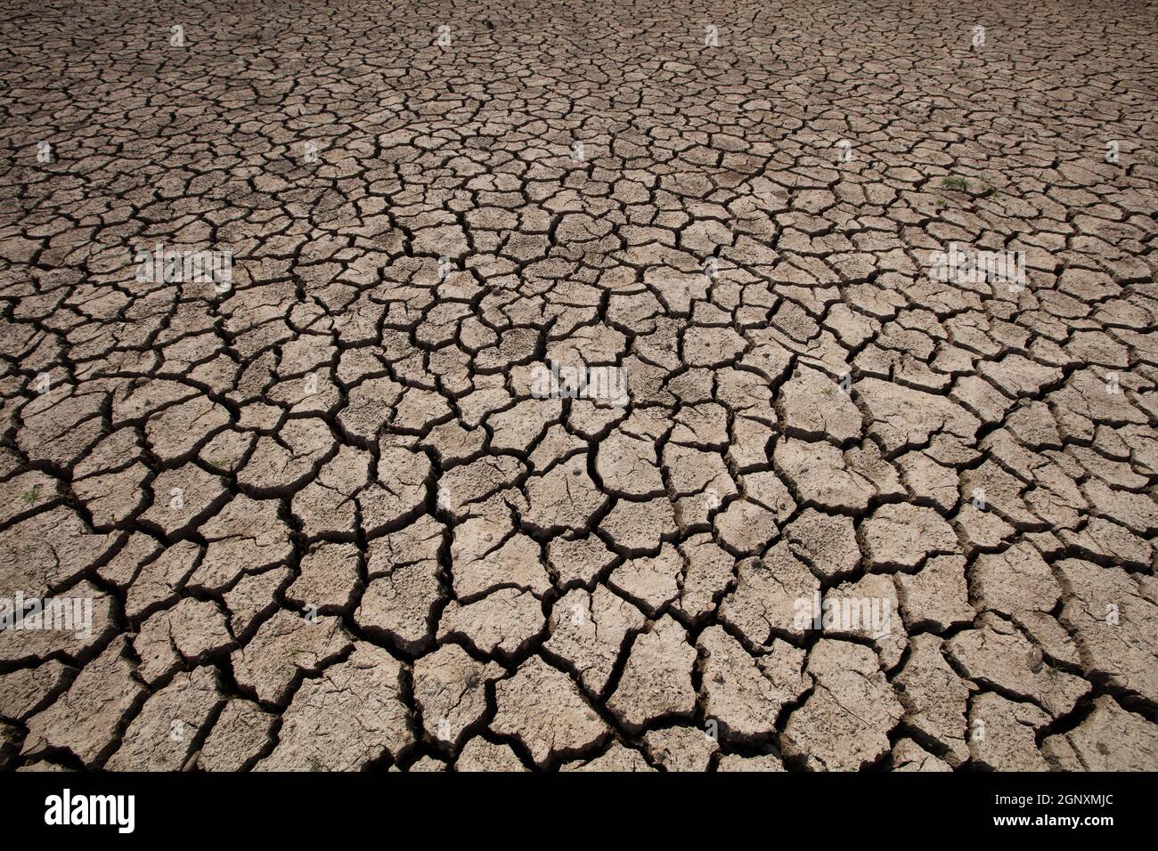 Rainless hi-res stock photography and images - Alamy