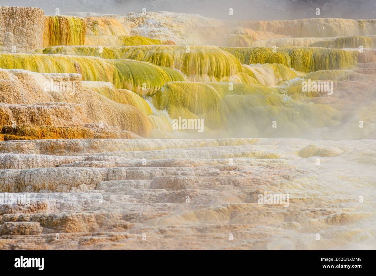 Sinter terraces near Mammoth near the Yellowstone bacteria pools in the ...