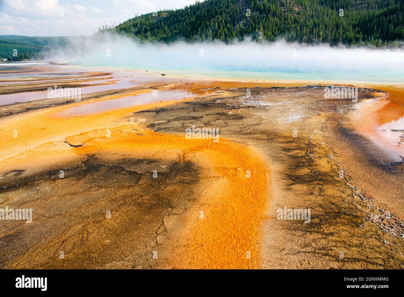 Grand Prismatic Spring in Midway Geyser Basin, Yellowstone bacteria ...