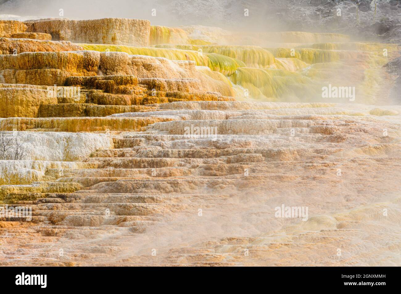 Sinter terraces near Mammoth near the Yellowstone bacteria pools in the ...