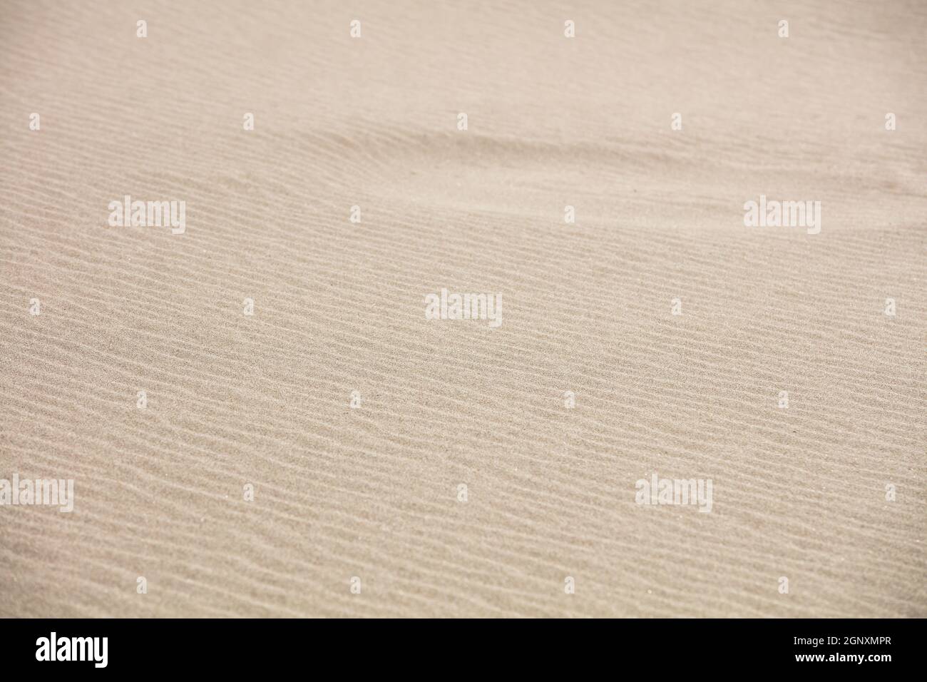 background and texture of sand pattern on a beach in summer Stock Photo ...