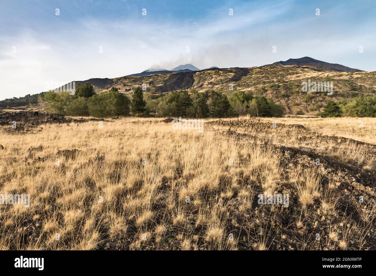 Black volcanic soil hi-res stock photography and images - Alamy