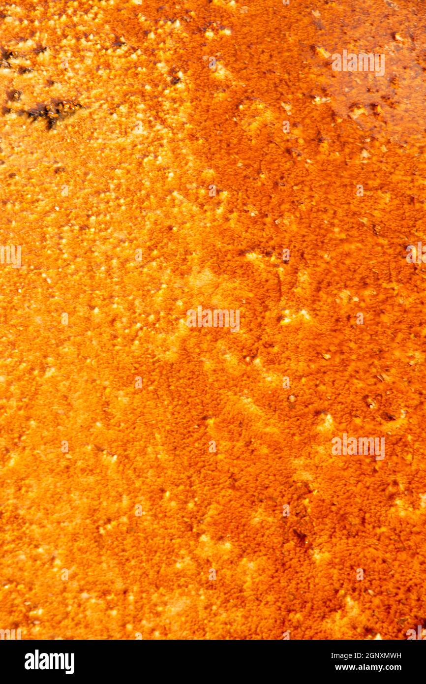 Yellowstone bacteria pools in the USA Stock Photo - Alamy