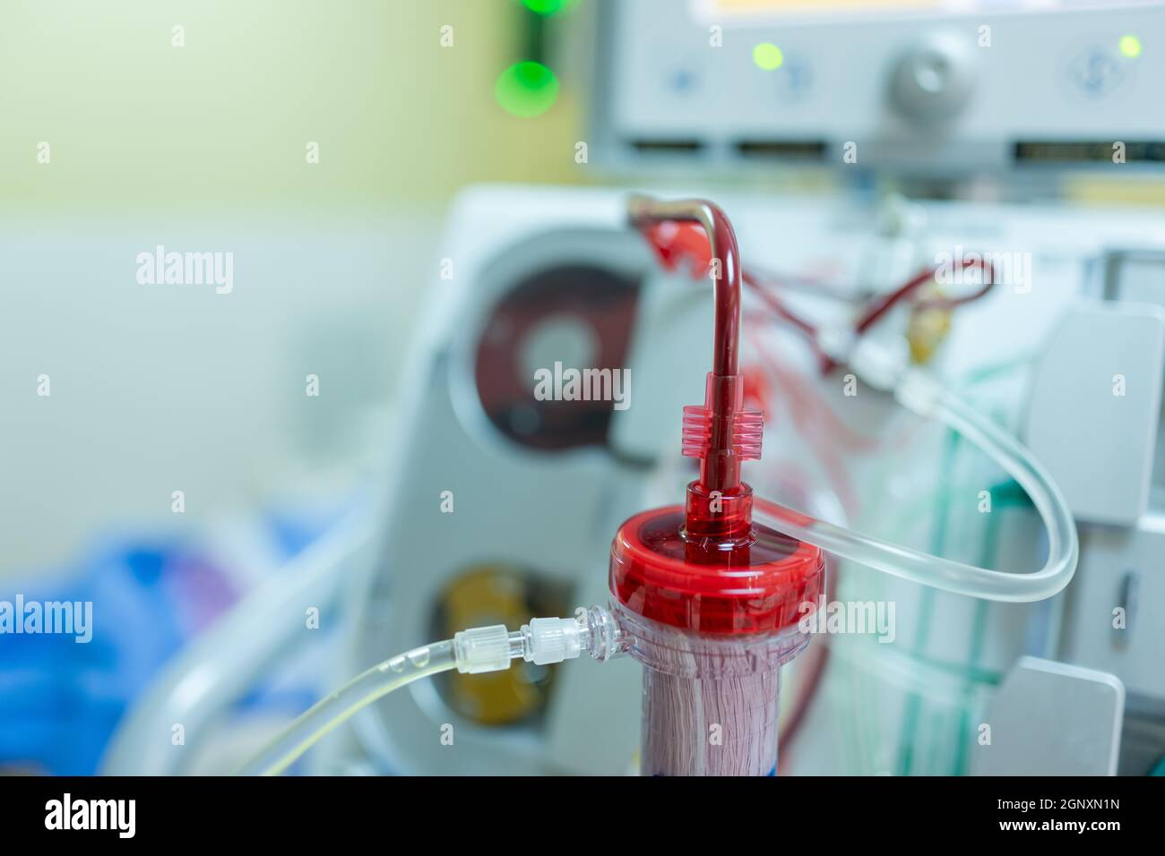 The specialist are checking continuous renal replacement therapy ...