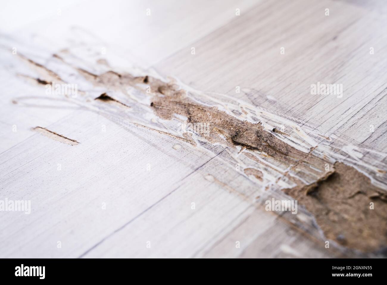 Destroyed Laminate Floor. Broken Old House Flooring With Damage Stock ...