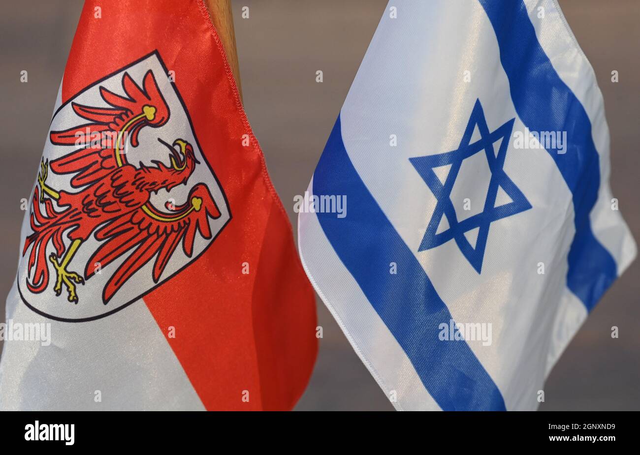 Potsdam, Germany. 28th Sep, 2021. The flags of Brandenburg and Israel ...