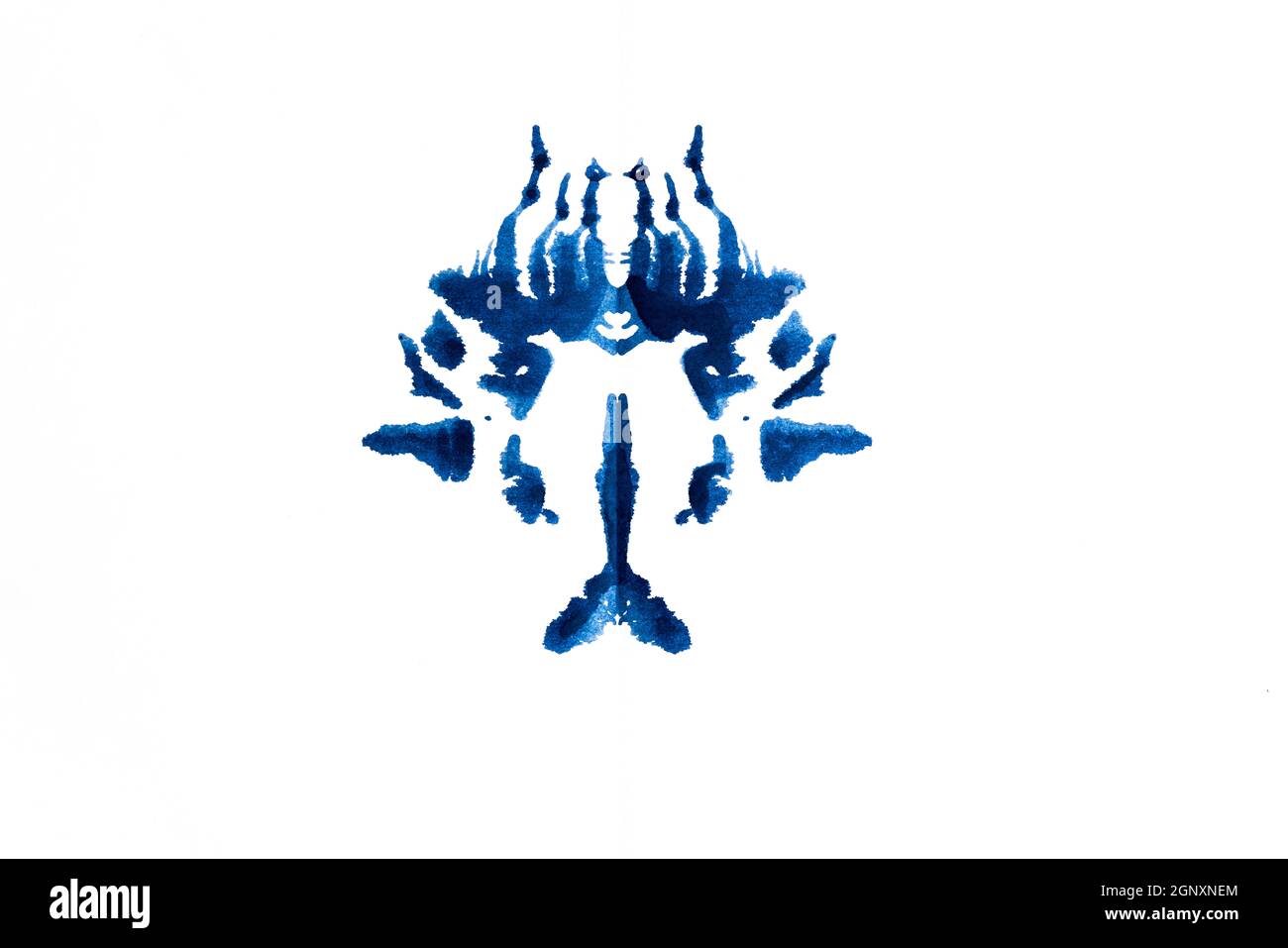 Psychology experiment hi-res stock photography and images - Alamy