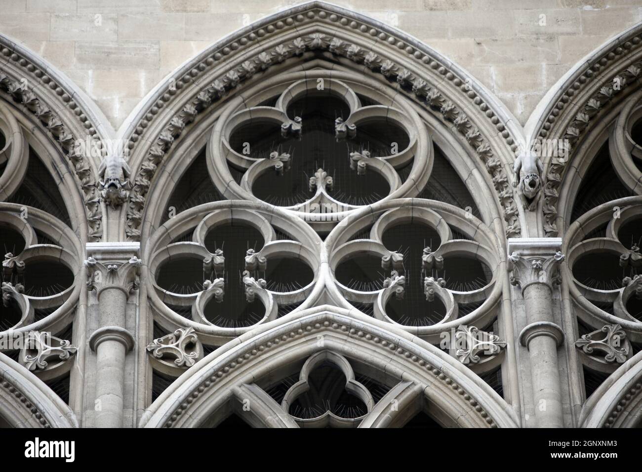 Window of Vienna's city hall Stock Photo - Alamy