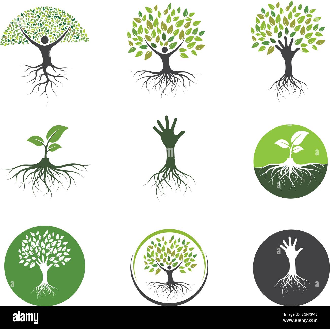 Tree icon logo template vector Stock Vector Image & Art - Alamy
