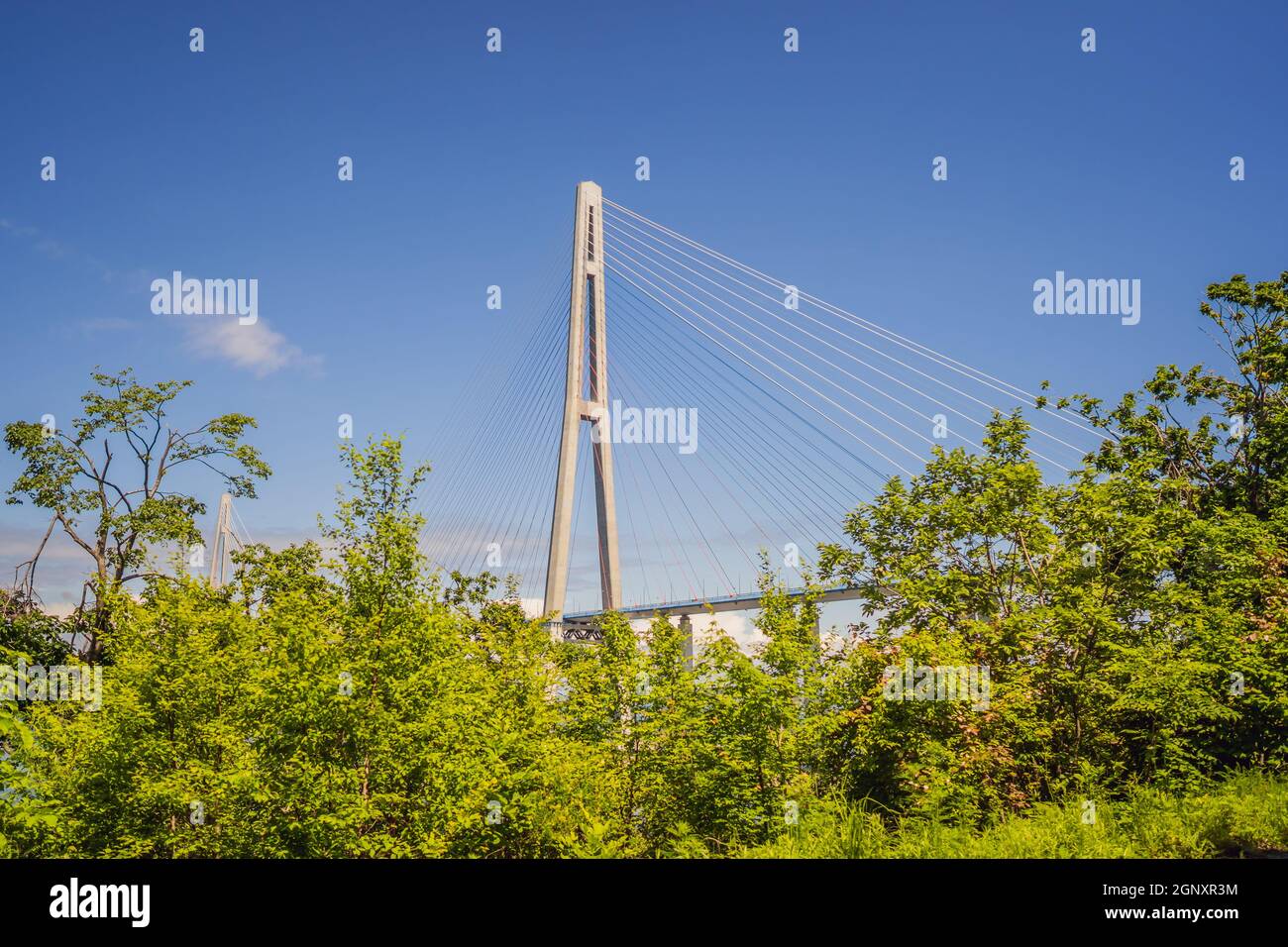Cable-stayed bridge to Russian Island. Vladivostok. Russia. Vladivostok ...