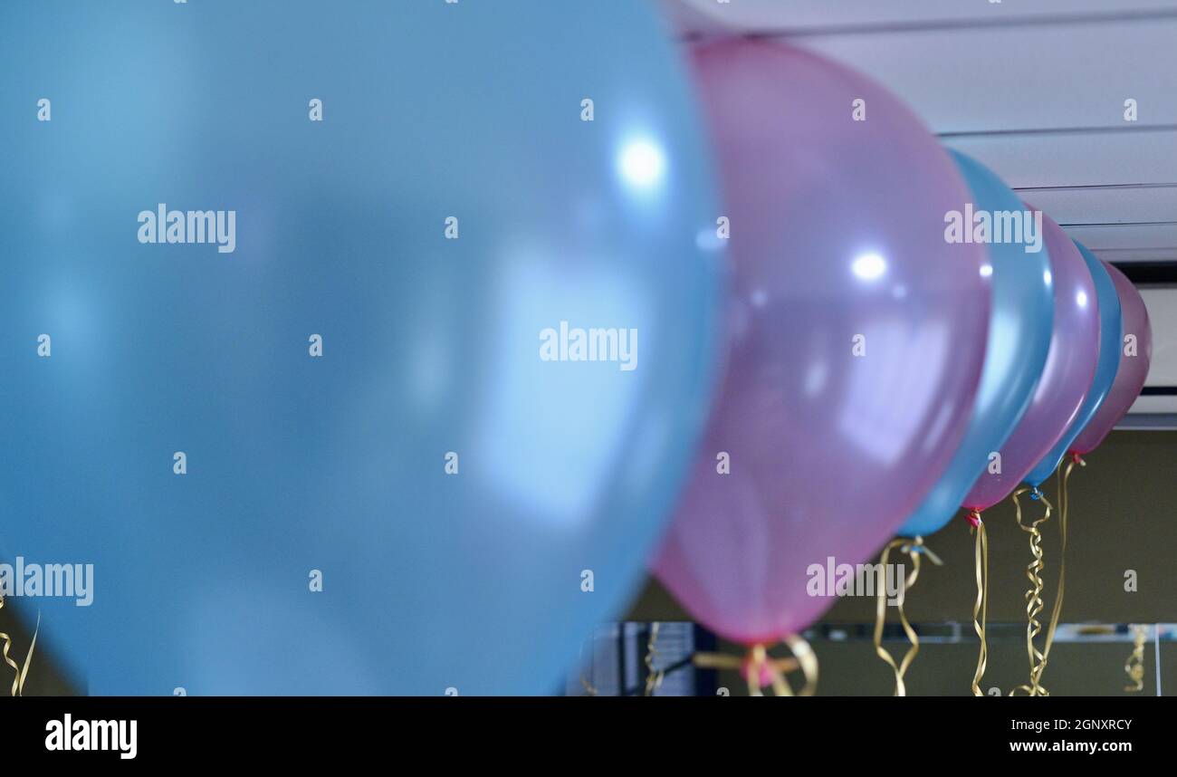 Closeup shot of colorful balloons hanging from the ceiling for a party ...
