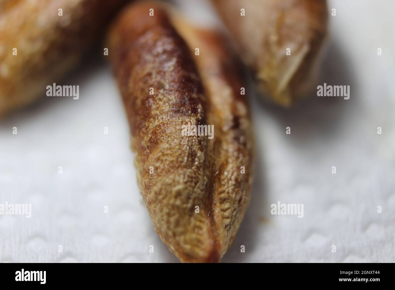Date or palm seeds isolated on white background. Macro photograph of ...