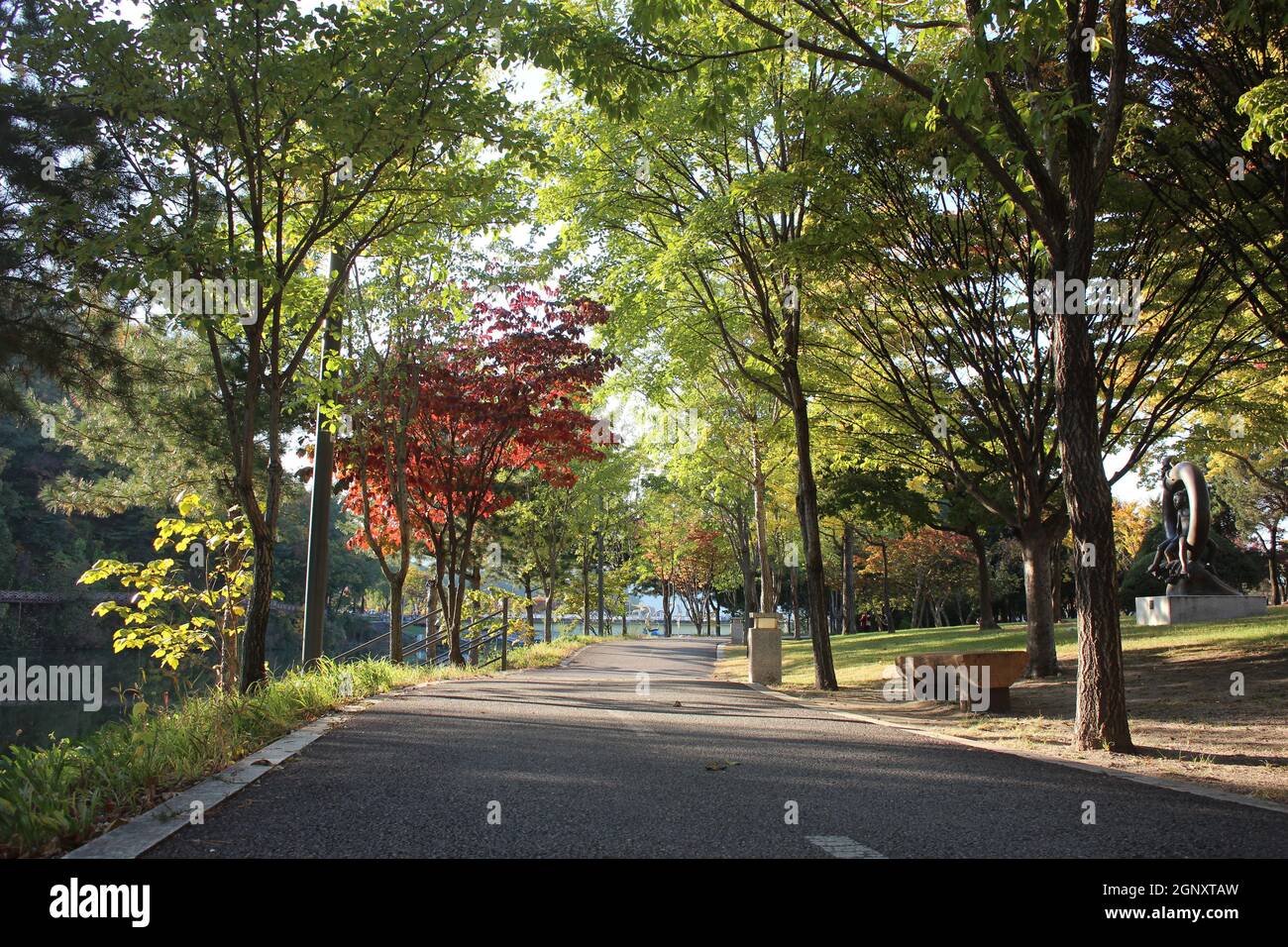 Paved pedestrian way or walk way with trees on sides for public walk ...