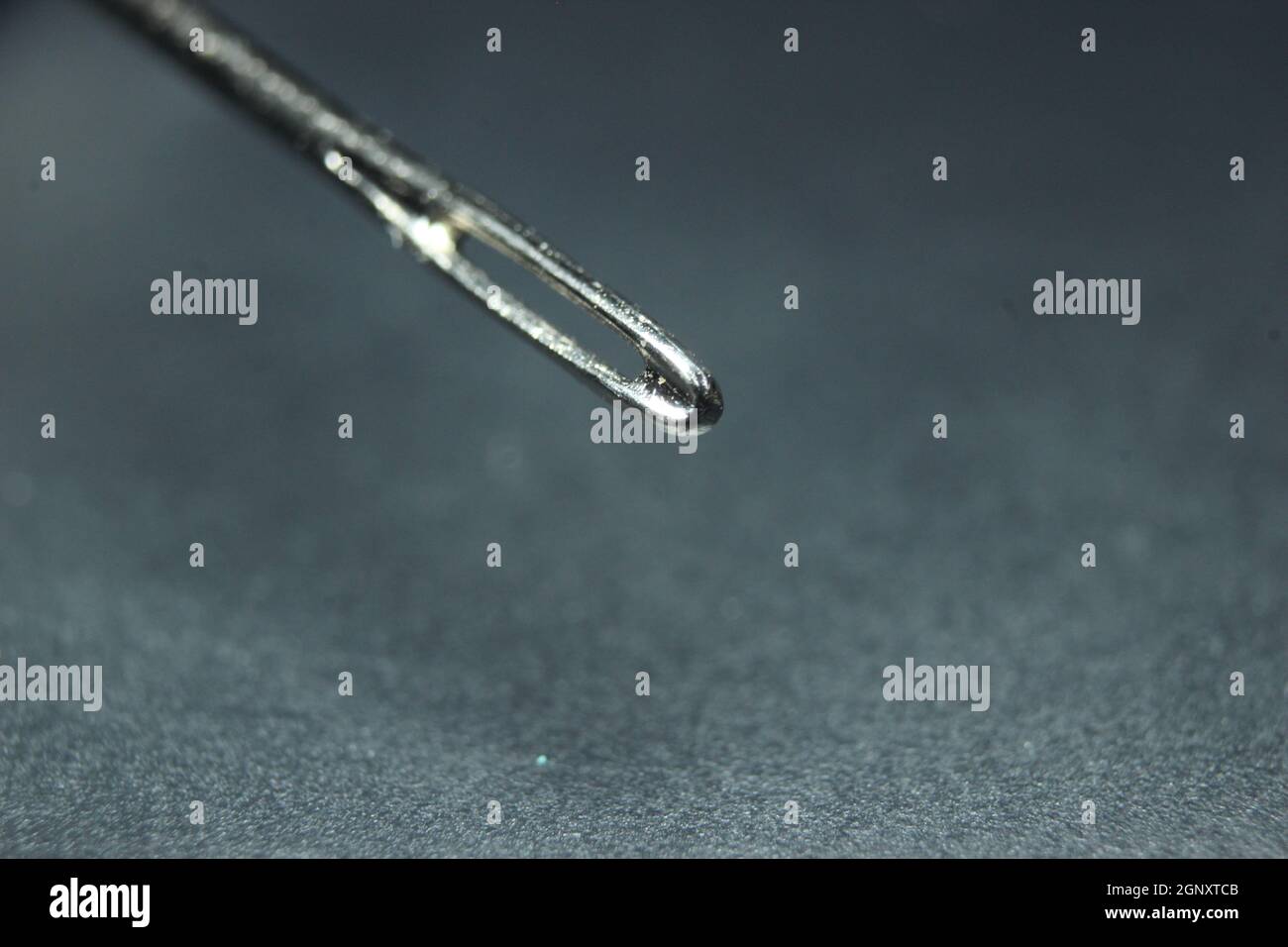 Macro photograph of sewing needle. Small needle with empty eyelet ...