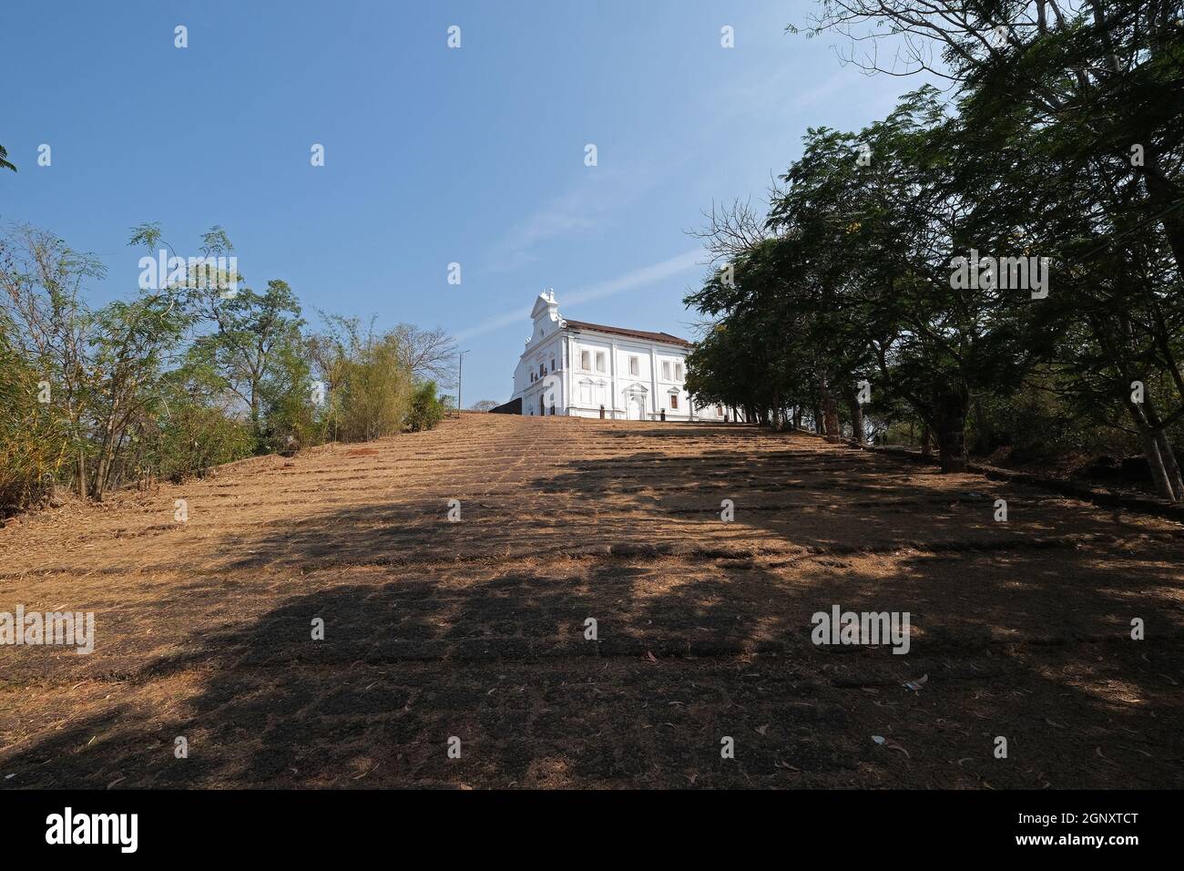 Our lady of the mount goa hi-res stock photography and images - Alamy