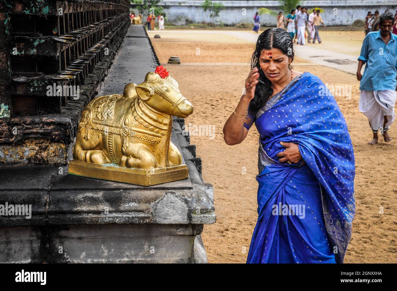 A local woman in a saree walks past a golden statue at a Hindu temple ...