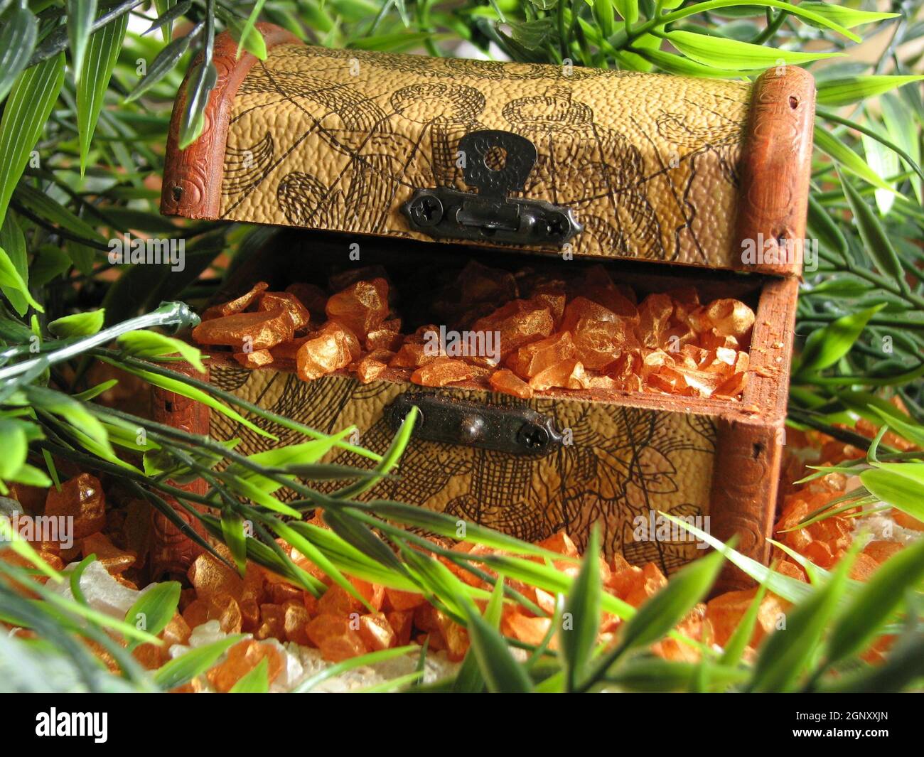 Chest full of treasure hidden in a shrub Stock Photo - Alamy