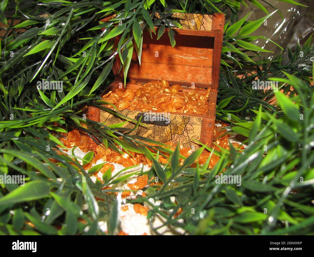 Chest full of treasure hidden in a shrub Stock Photo - Alamy