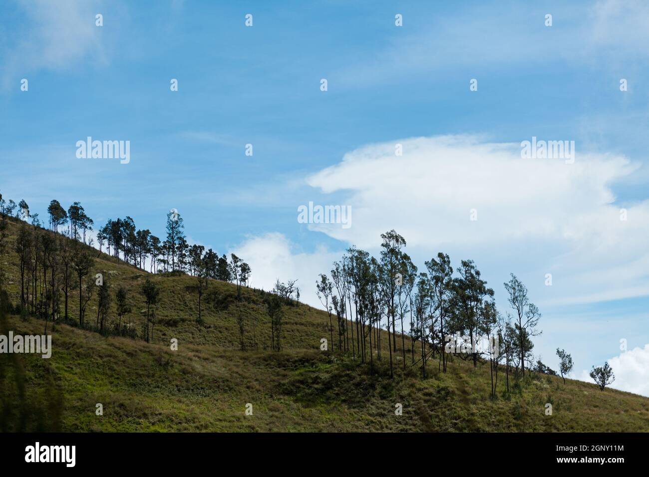 Landscape of mountains with tall trees. Trek to Mount Rinjani, Lombok ...