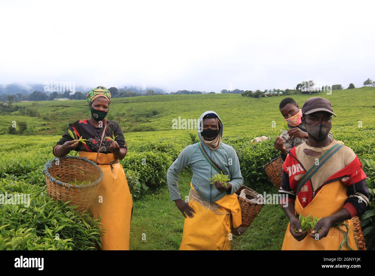 18 sep 2021 hi-res stock photography and images - Alamy