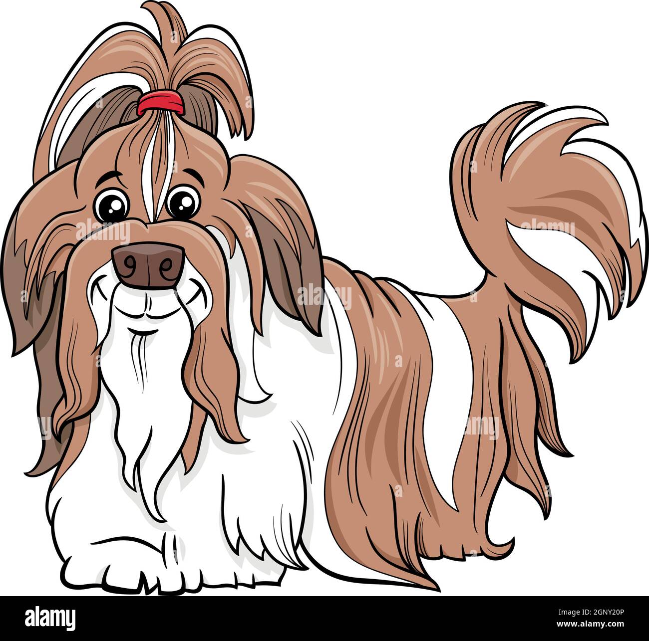 Shih Tzu purebred dog cartoon illustration Stock Vector Image & Art - Alamy