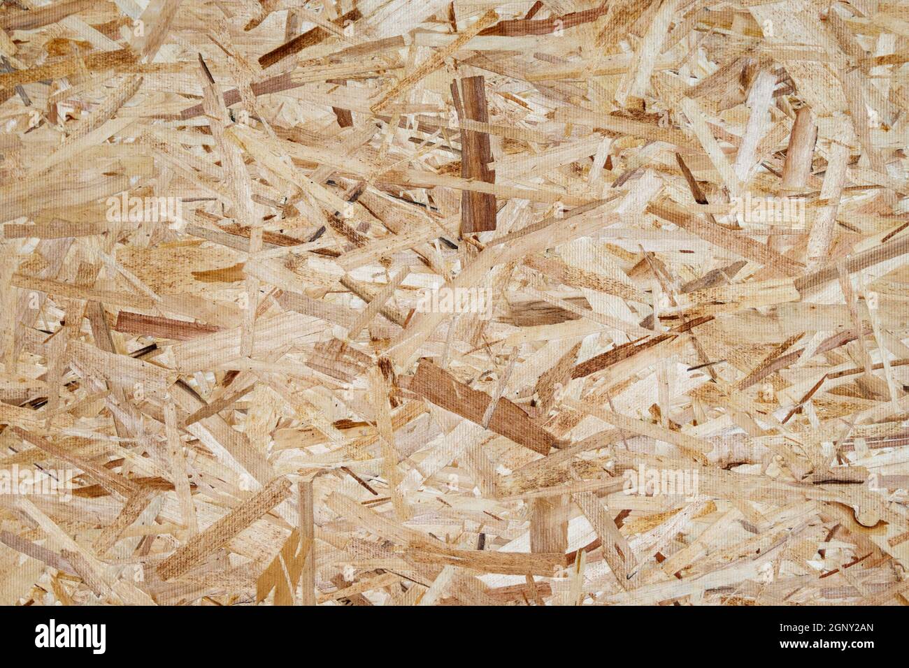 Pressed wooden shavings panel background, texture of oriented strand ...