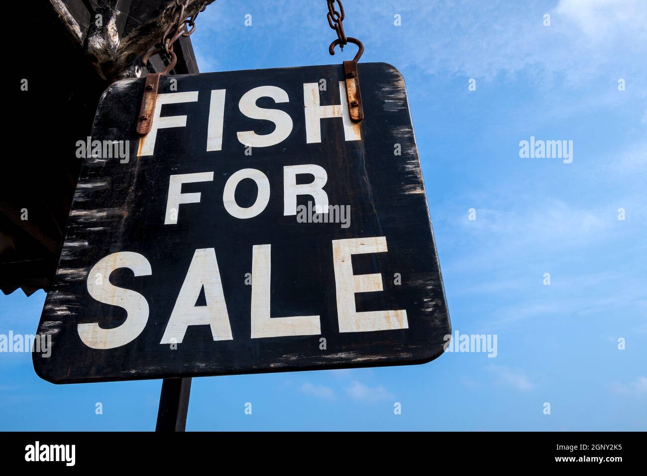 Fish for sale sign outside fresh seafood supplier Stock Photo - Alamy