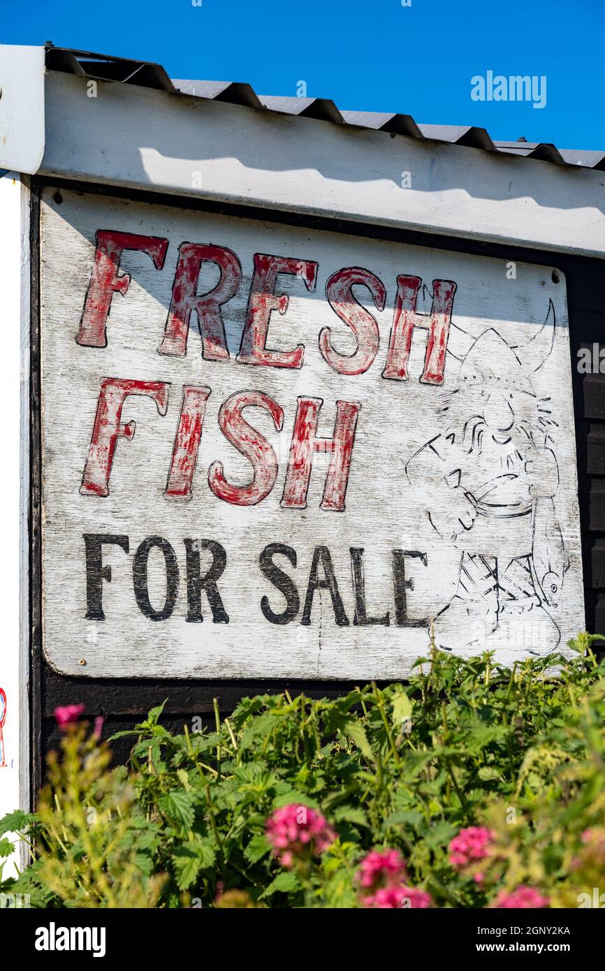 Fresh fish for sale sign on the coast Stock Photo - Alamy