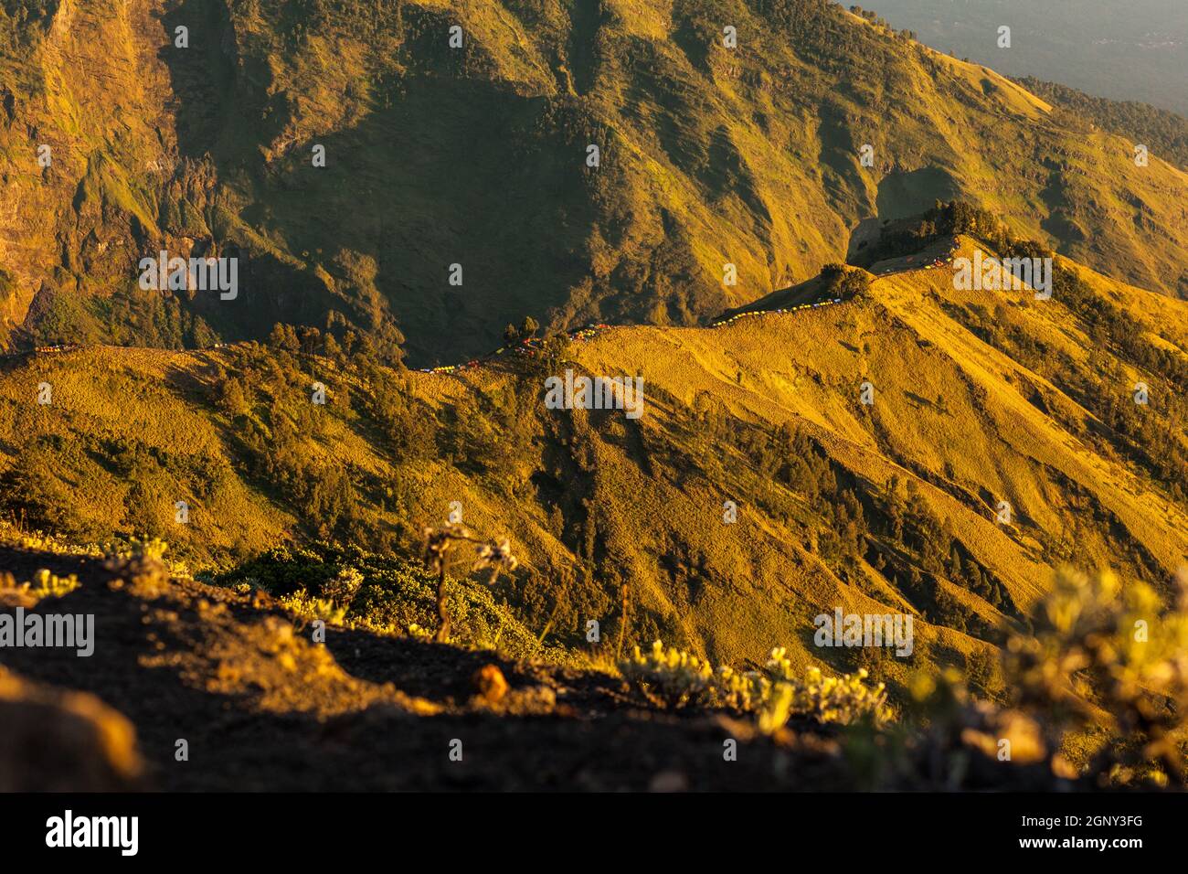 A long line of tents on the green-capped mountains. Mount Rinjani ...