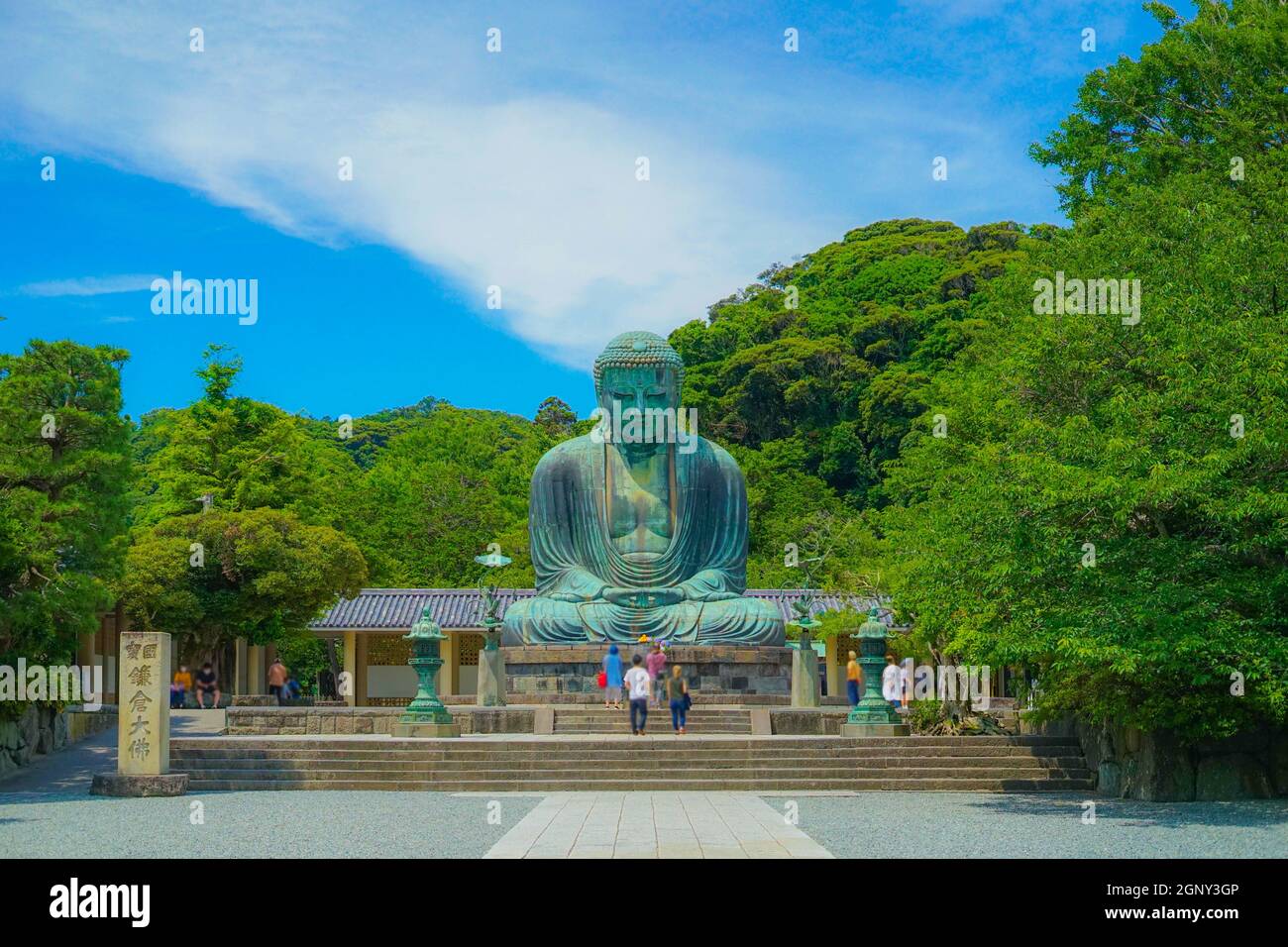 Early summer of the Great Buddha of Kamakura, which was wrapped in ...