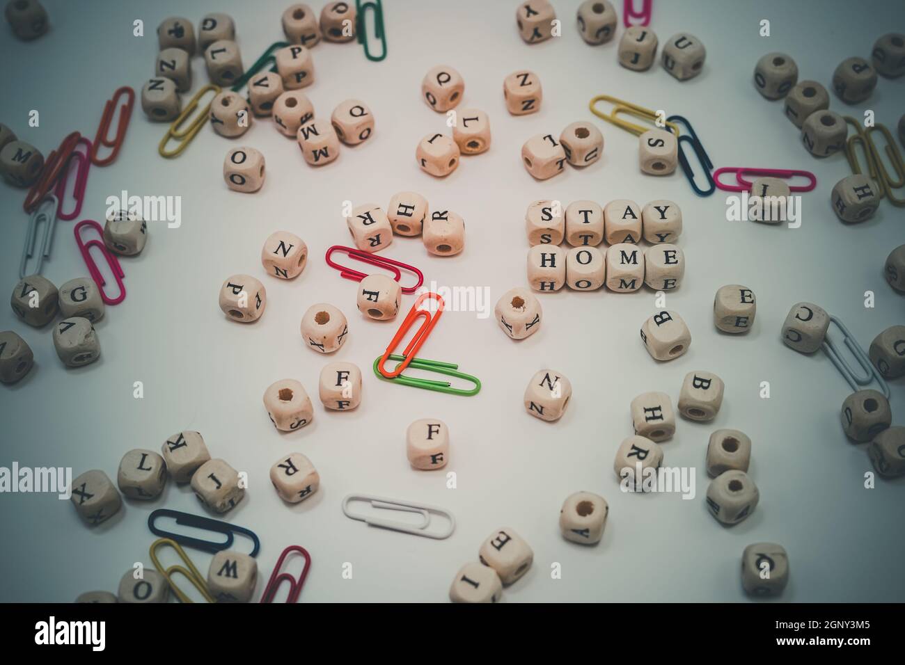 Stay home of the tree of (STAY HOME) block. Shooting Location: Yokohama ...