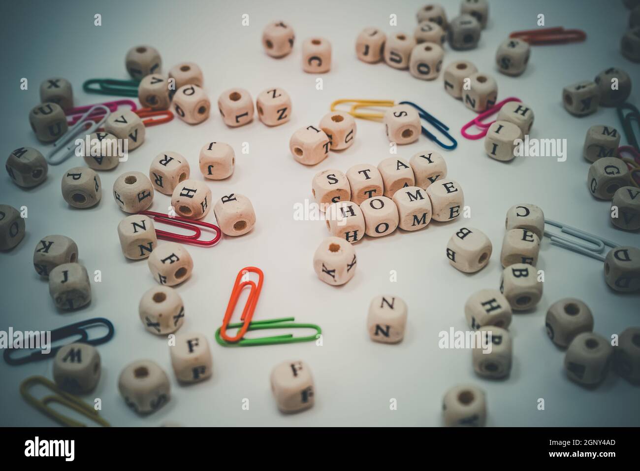 Stay home of the tree of (STAY HOME) block. Shooting Location: Yokohama ...